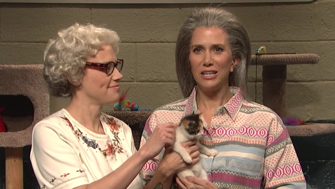 Kristen Wiig & Kate McKinnon Are Dorky Cat Ladies on SNL - Thrillist