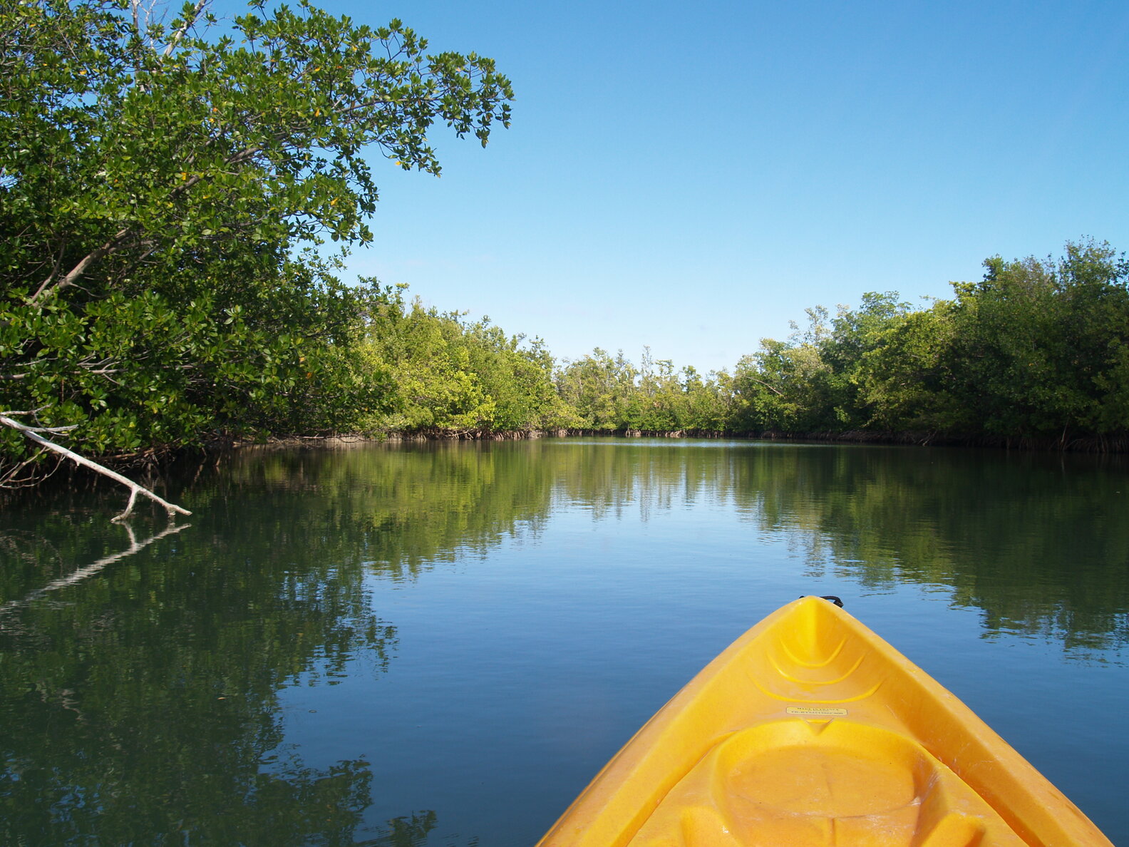 Best Parks in Miami, Florida, Ranked - Thrillist