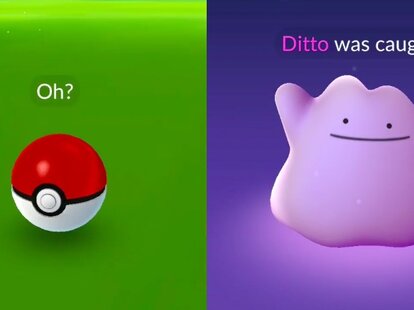 Ditto In 'Pokémon Go': How to Catch the New Pokémon - Thrillist