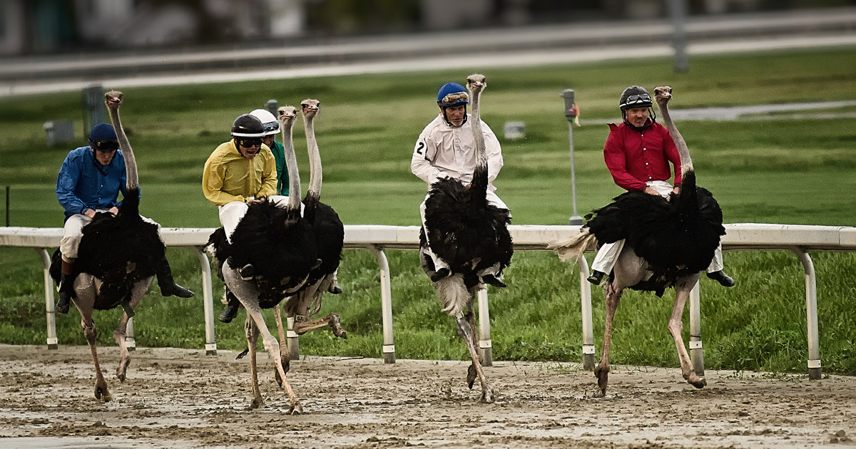 Fair Grounds Race Course & Slots: A New Orleans, LA Venue.