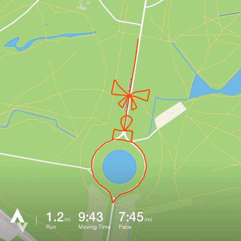 This Guy Draws Huge Festive Doodles with GPS Running Trails - Thrillist