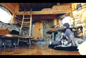 All 50 State Flags Ranked - Best and Worst in United States - Thrillist