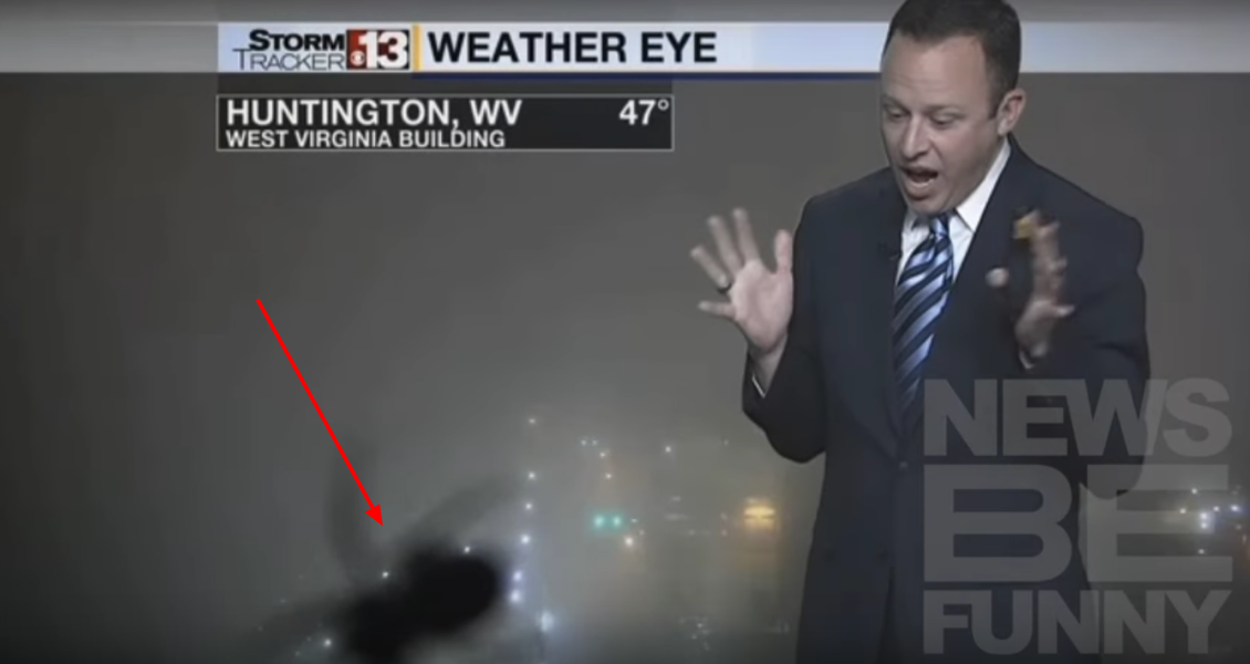 Weatherman Freaks Over a Spider on the Camera - Thrillist