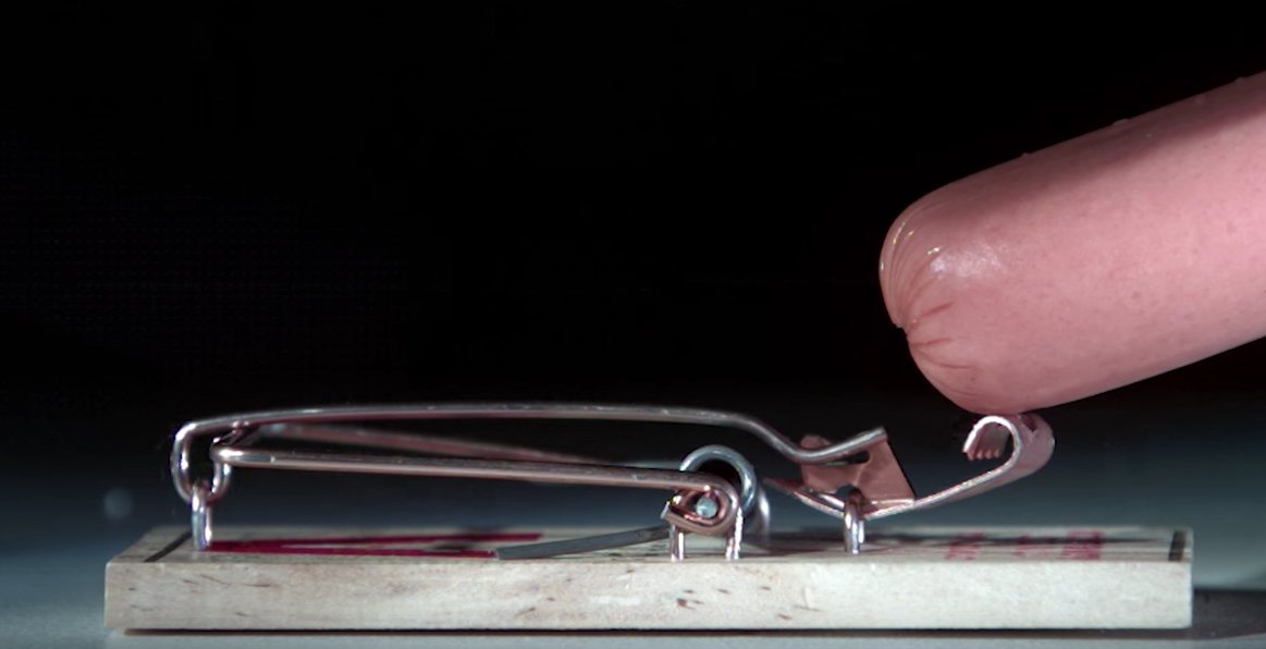 Watch a Mouse Trap Snap a Hot Dog in Cringe-Inducing Slow Motion ...