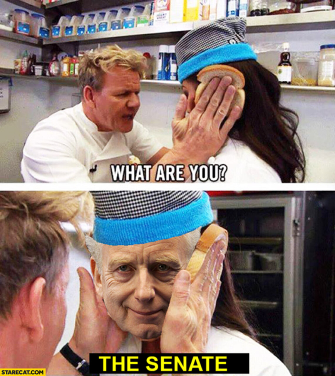 Best Memes of 2017, Ranked - Thrillist