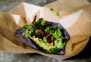 Erotic Swinger Resorts - Everything You Need to Know - Thrillist