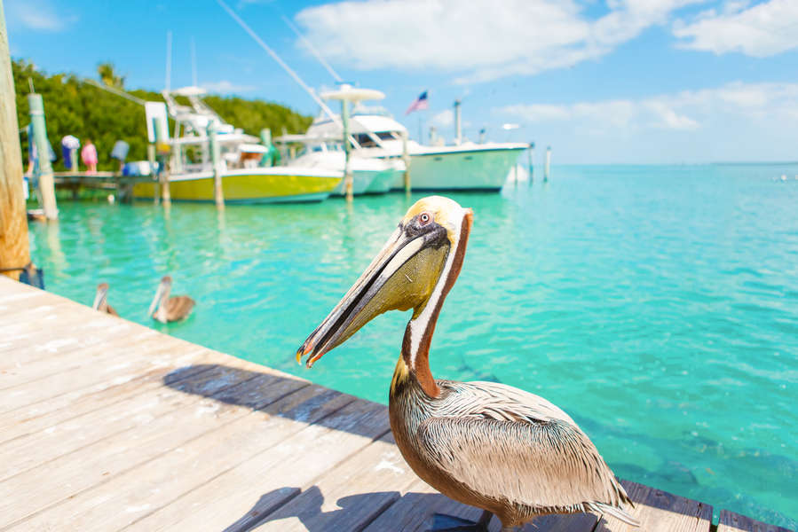Best Day Trips From Miami, South Florida & the Keys - Thrillist