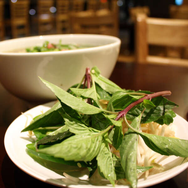 PhoNatic Vietnamese Cuisine: A Restaurant in Austin, TX - Thrillist