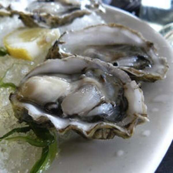 Ken & Cook - Eat - Thrillist New York