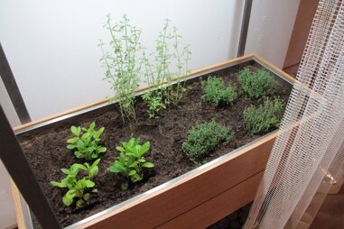 Romera - Eat - Thrillist New York