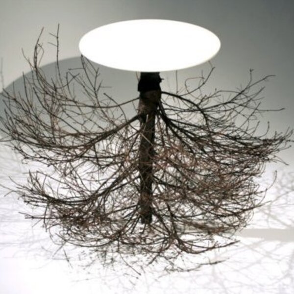 Table Tree - Own - Thrillist Portland