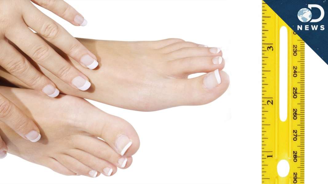 Why Do Fingernails Grow Faster Than Toenails Seeker