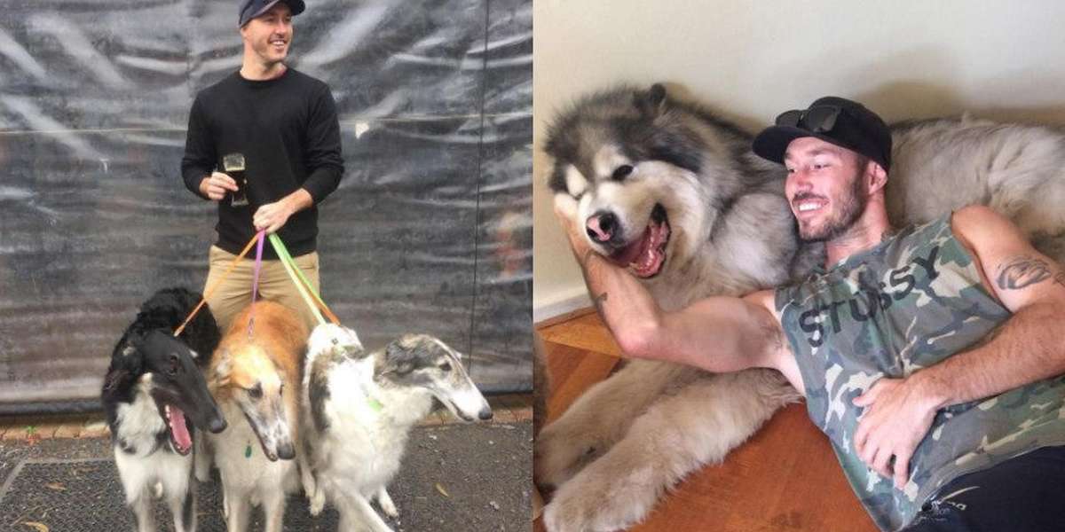 Australian Guy Is On A Mission To Save Every Dog In The World - The Dodo