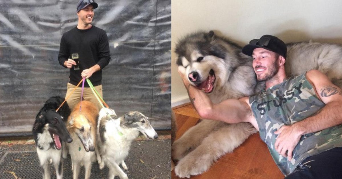 Australian Guy Is On A Mission To Save Every Dog In The World - The Dodo