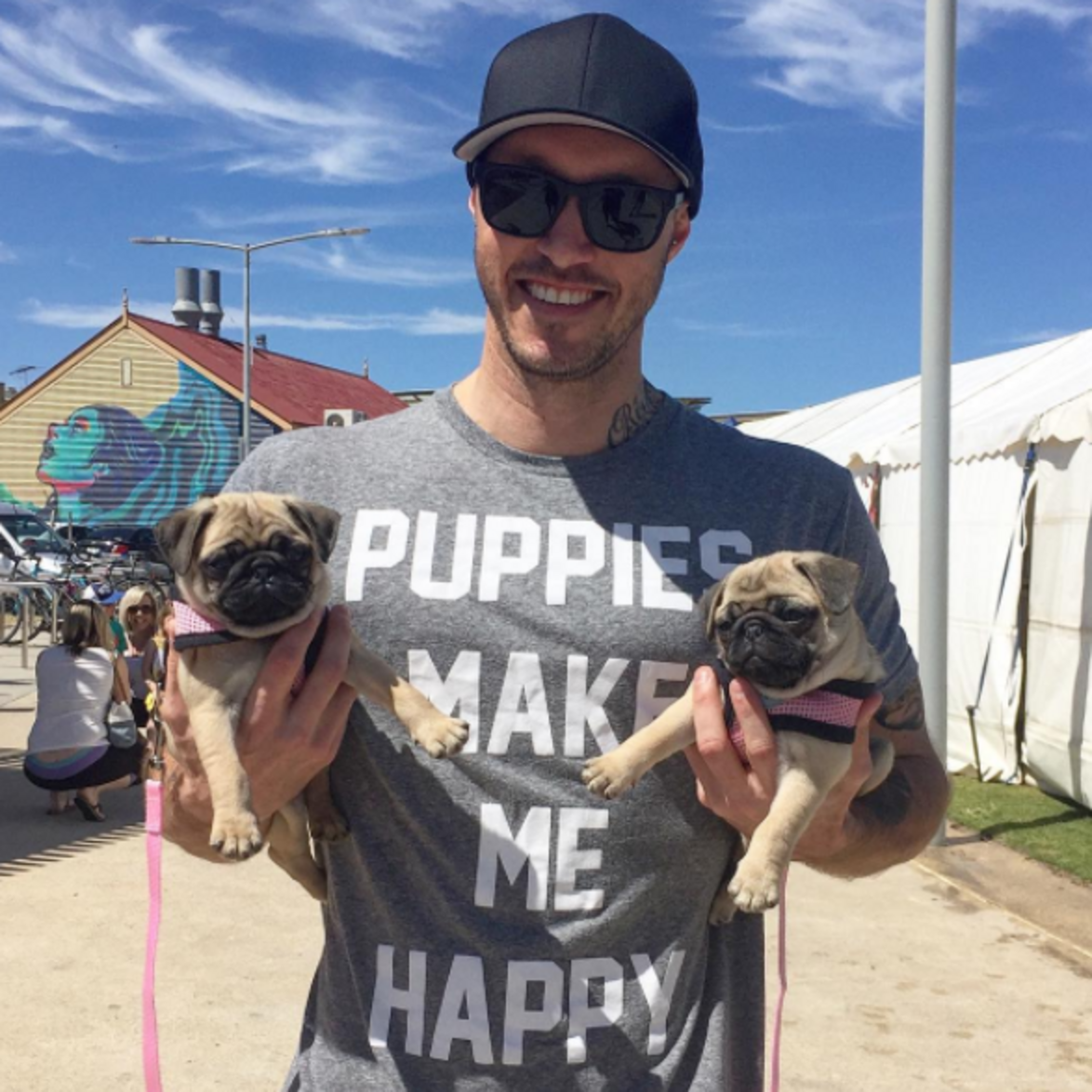 Australian Guy Is On A Mission To Save Every Dog In The World - The Dodo