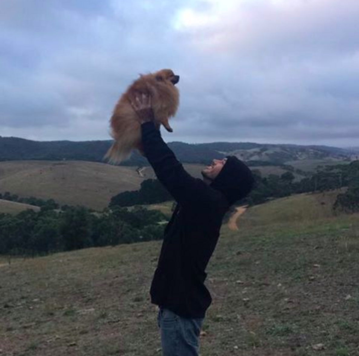 Australian Guy Is On A Mission To Save Every Dog In The World - The Dodo