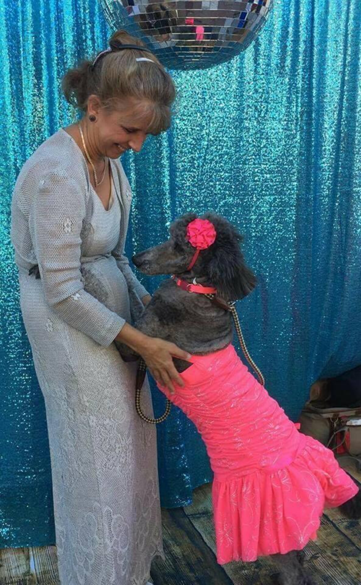 Special 'Senior Prom' Held To Help Older Dogs Get Adopted - The Dodo