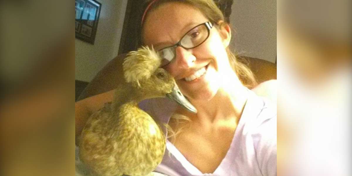 Woman Rescues Sick Duckling — And Ends Up With The Perfect Therapy ...