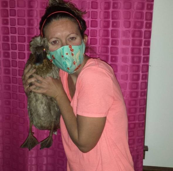 Woman Rescues Sick Duckling — And Ends Up With The Perfect Therapy ...