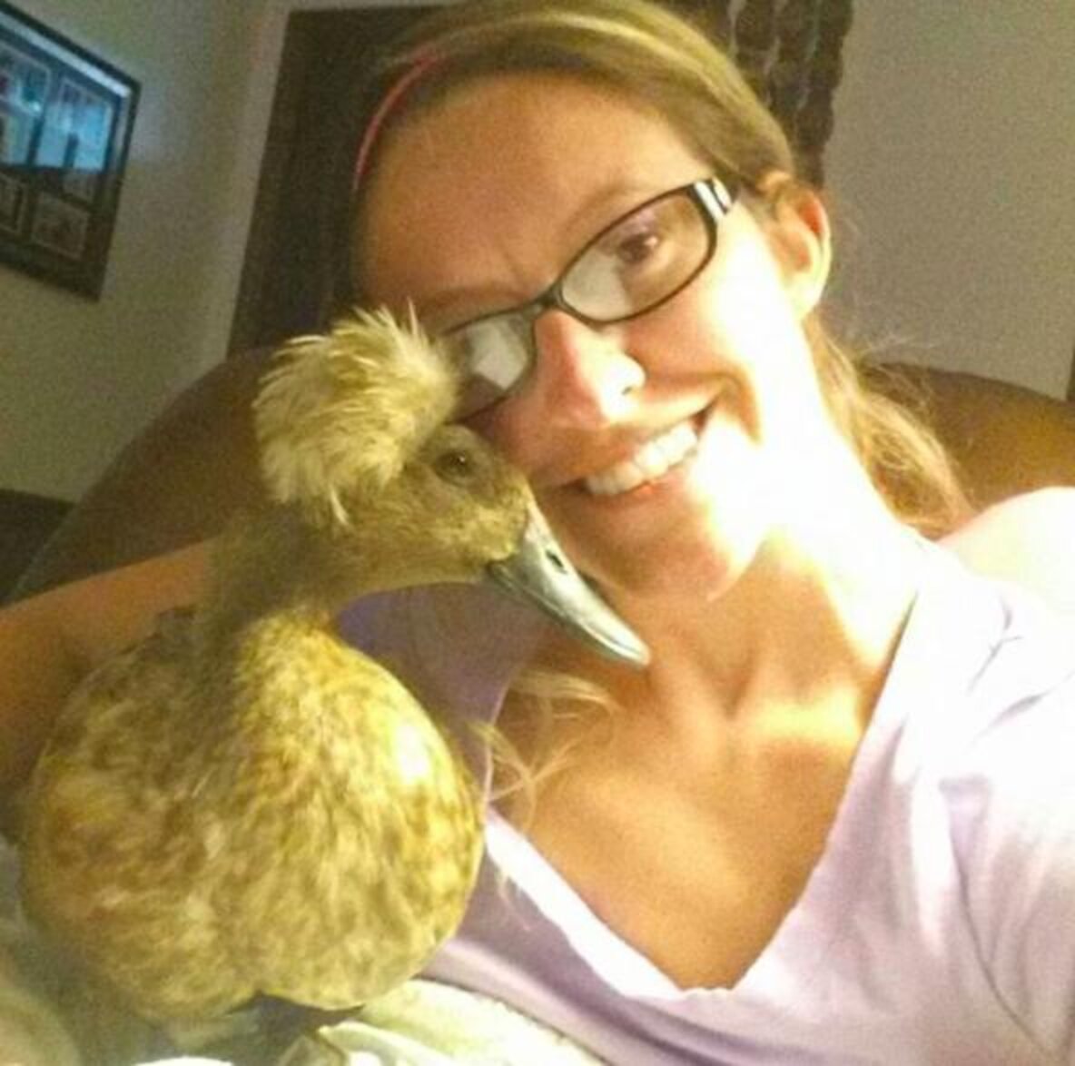Woman Rescues Sick Duckling — And Ends Up With The Perfect Therapy ...