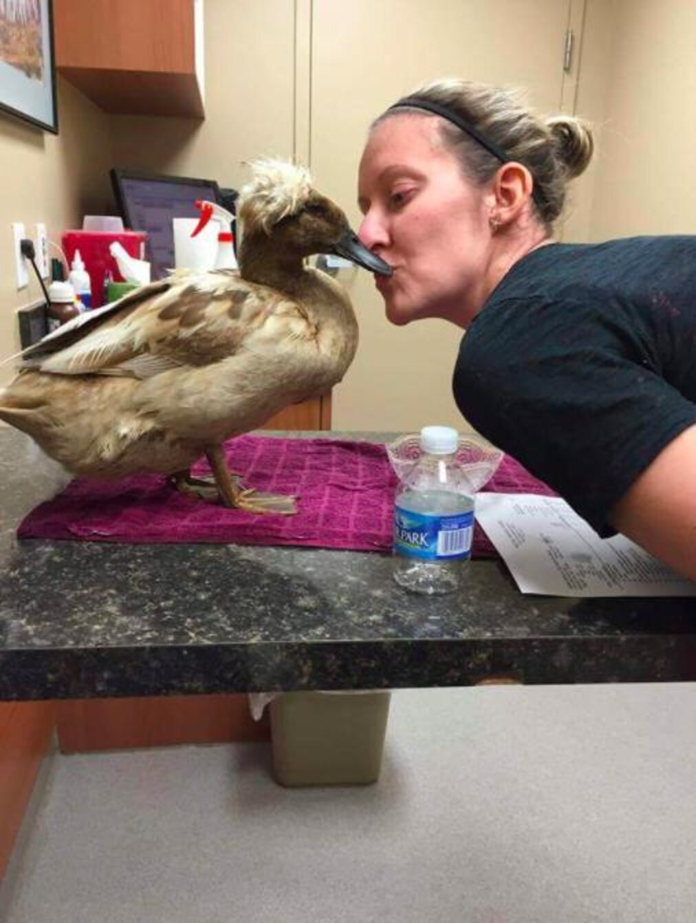 Woman Rescues Sick Duckling — And Ends Up With The Perfect Therapy ...
