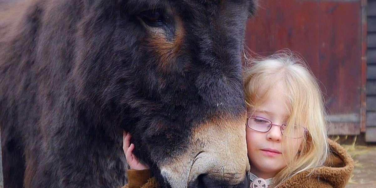 Therapy Donkey Helps Special Needs Child Overcome Obstacles - The Dodo