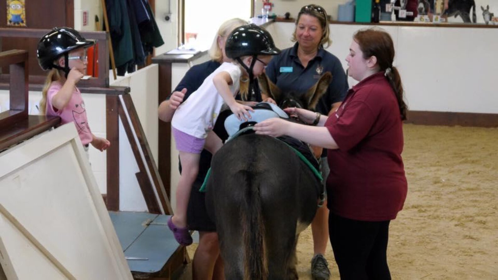 Therapy Donkey Helps Special Needs Child Overcome Obstacles - The Dodo