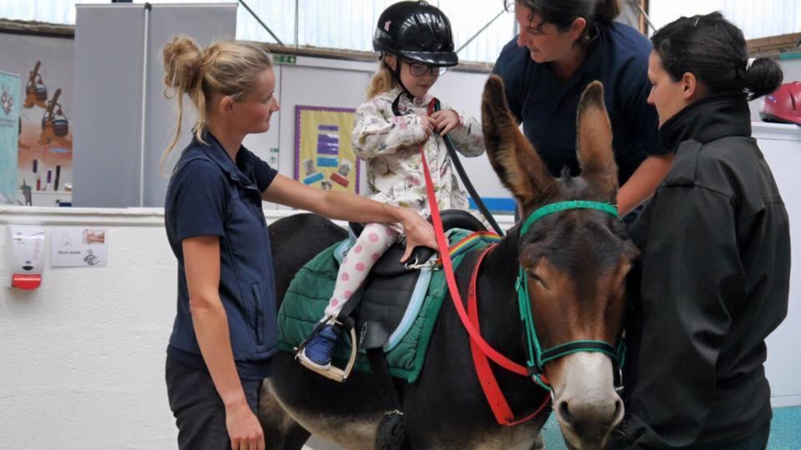 Therapy Donkey Helps Special Needs Child Overcome Obstacles - The Dodo