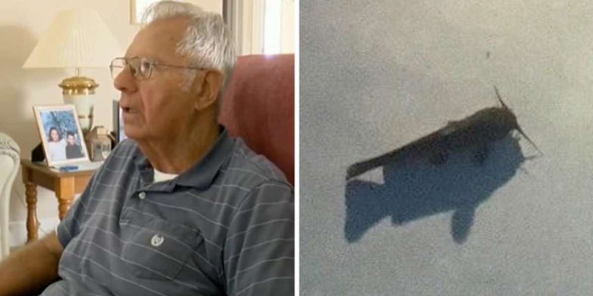 Man Hears Huge Crash — Then Finds A Fish In His Pool - The Dodo