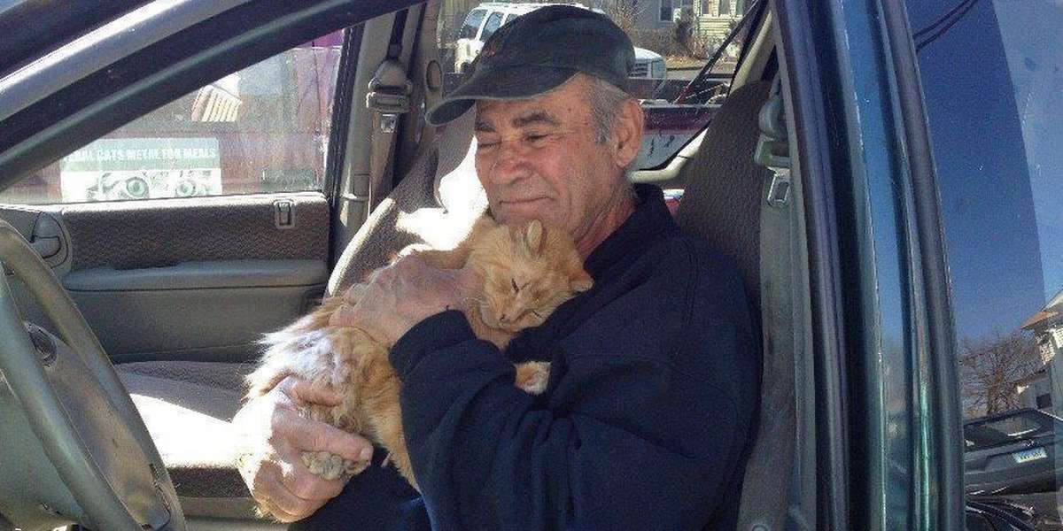 Man Helps Street Cats in Hartford, Connecticut - The Dodo