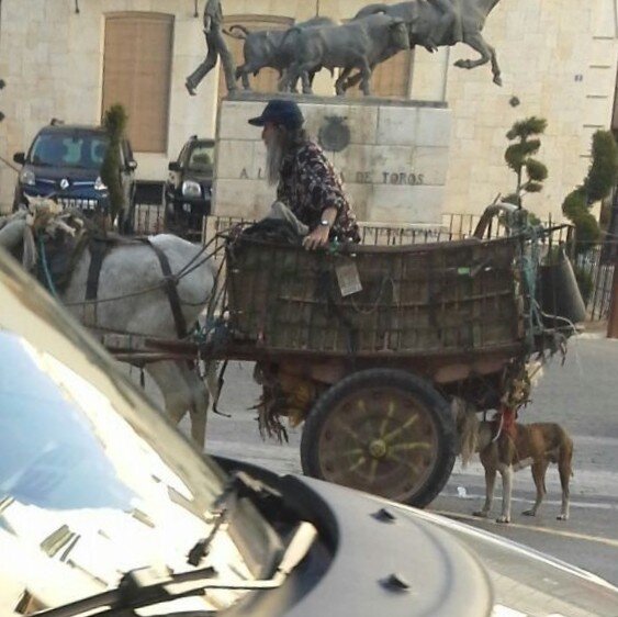Donkey Seized From Owner After Collapse In Spanish Village - The Dodo