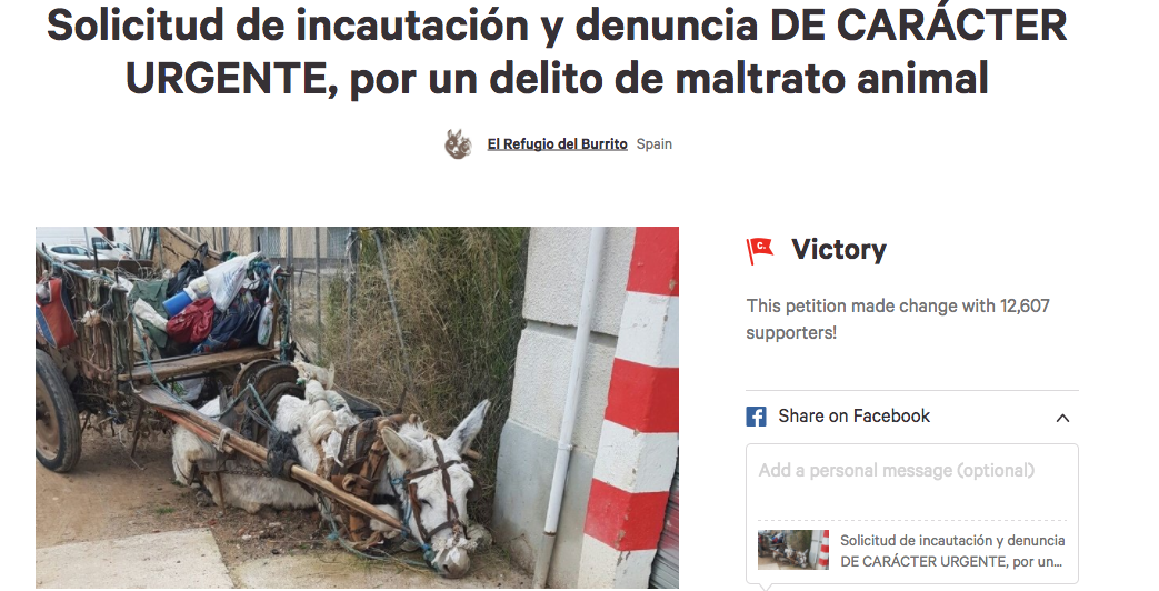 Donkey Seized From Owner After Collapse In Spanish Village - The Dodo
