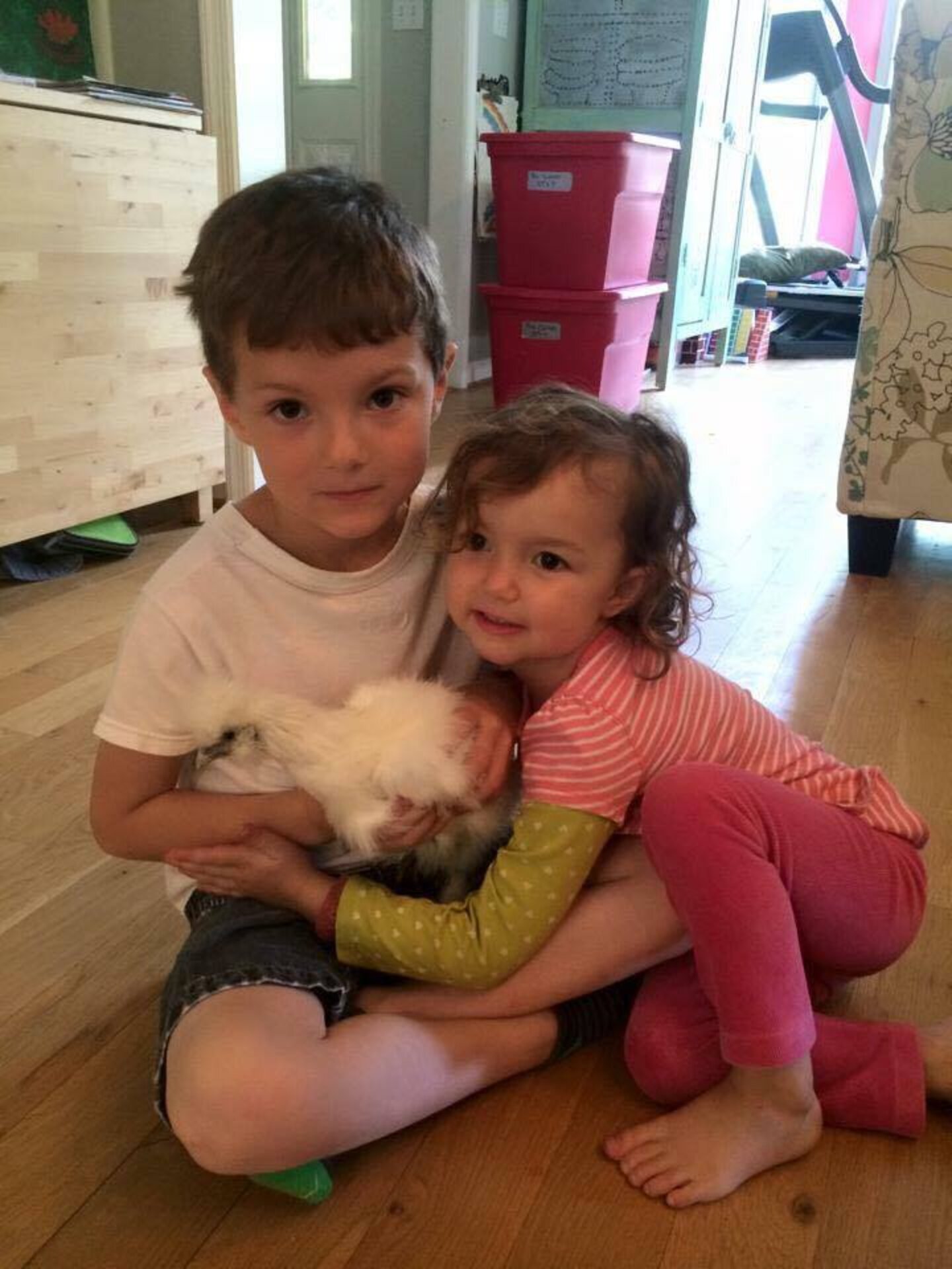 Therapy Chicken In A Tutu Is Teaching People To Love Animals - The Dodo