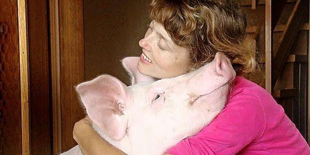 Woman Writes The Sweetest Tribute To The Pig She Loved - The Dodo