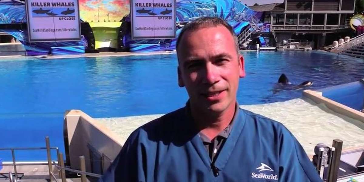 SeaWorld Gets Super Defensive Over 'Depressed' Mother Orca Footage ...