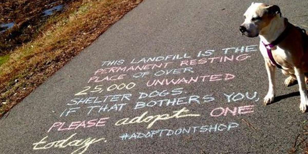 This Is The Final Resting Place Of Over 25,000 Unwanted Dogs - The Dodo