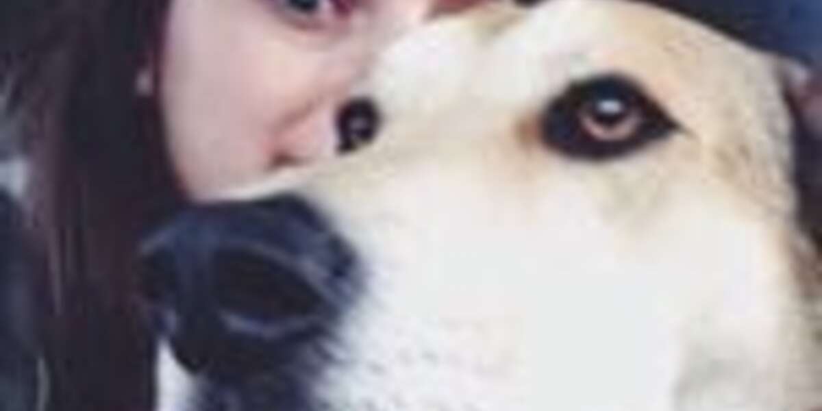 Chloe Bryan - The Dodo