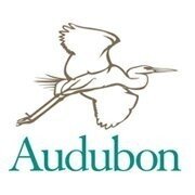 Audubon Society - The Dodo