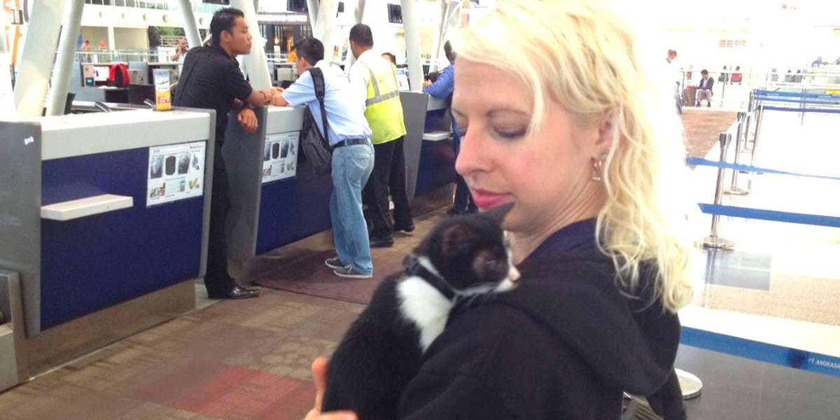 How To Bring An Animal From Another Country Back To The U.S. - The Dodo