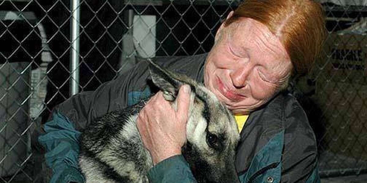 Photo Perfectly Captures How Animals Actually Rescue Us - The Dodo