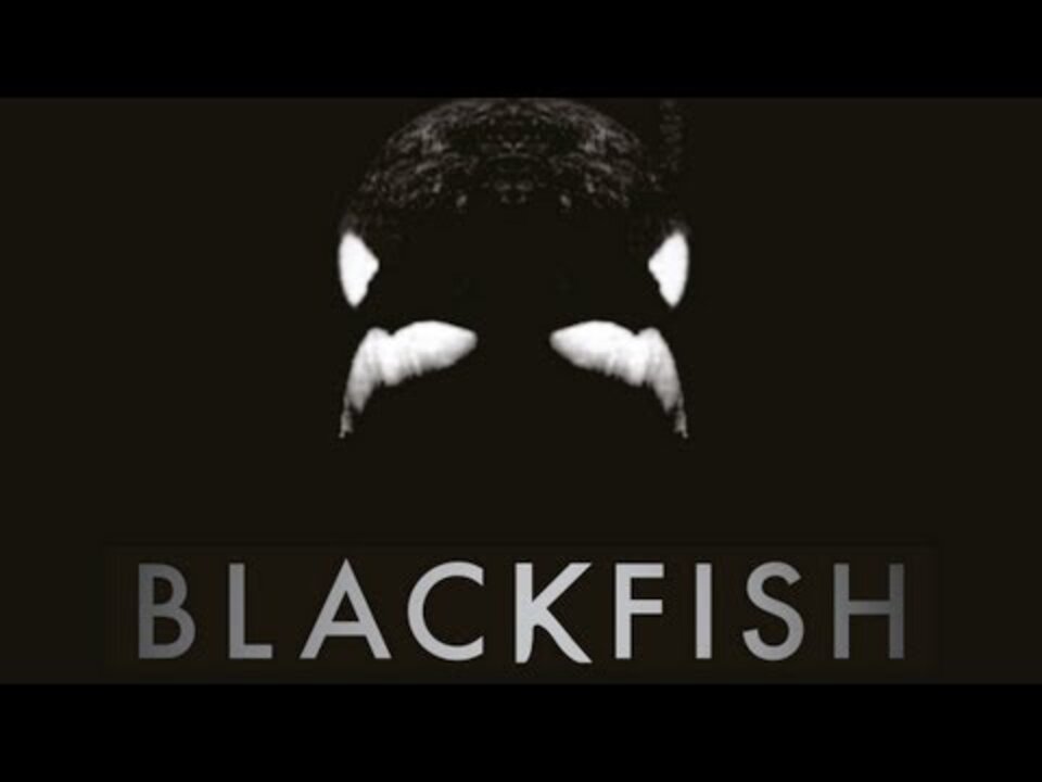 Bring Your Own Doc : #BLACKFISH - Killer Whales at SeaWorld Documentary ...