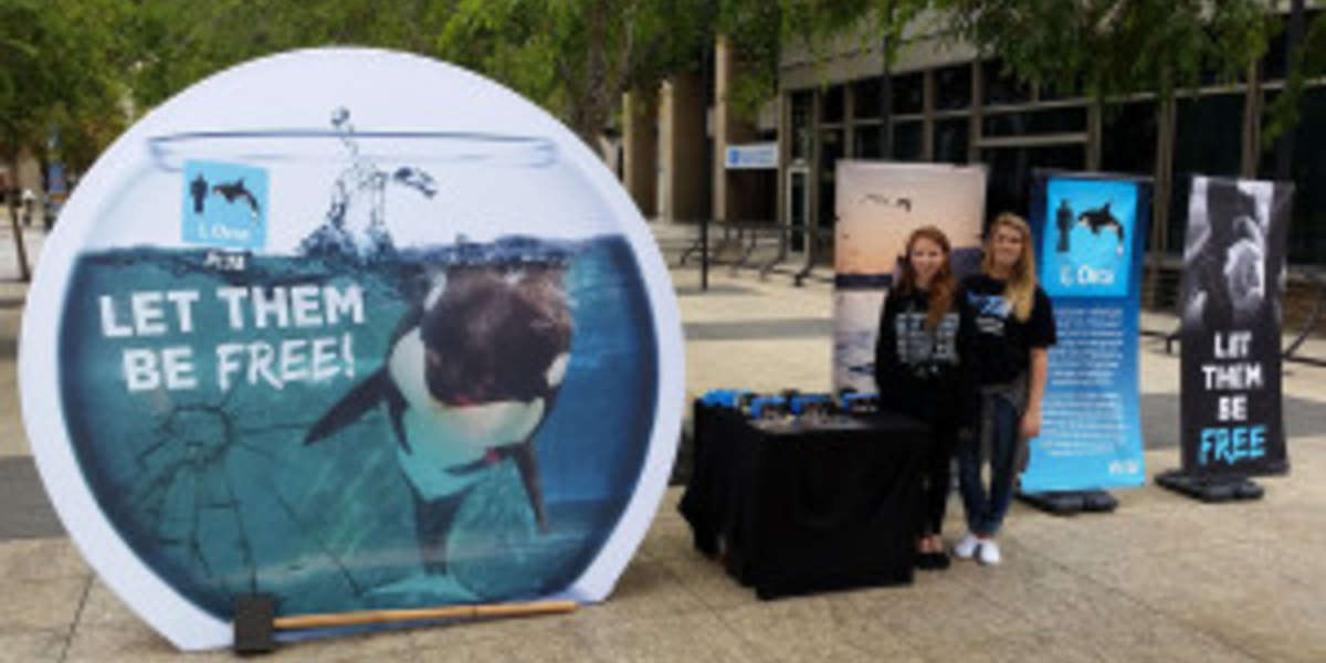 PETA Unveils 'I, Orca' Virtual Reality Dig Against SeaWorld - The Dodo