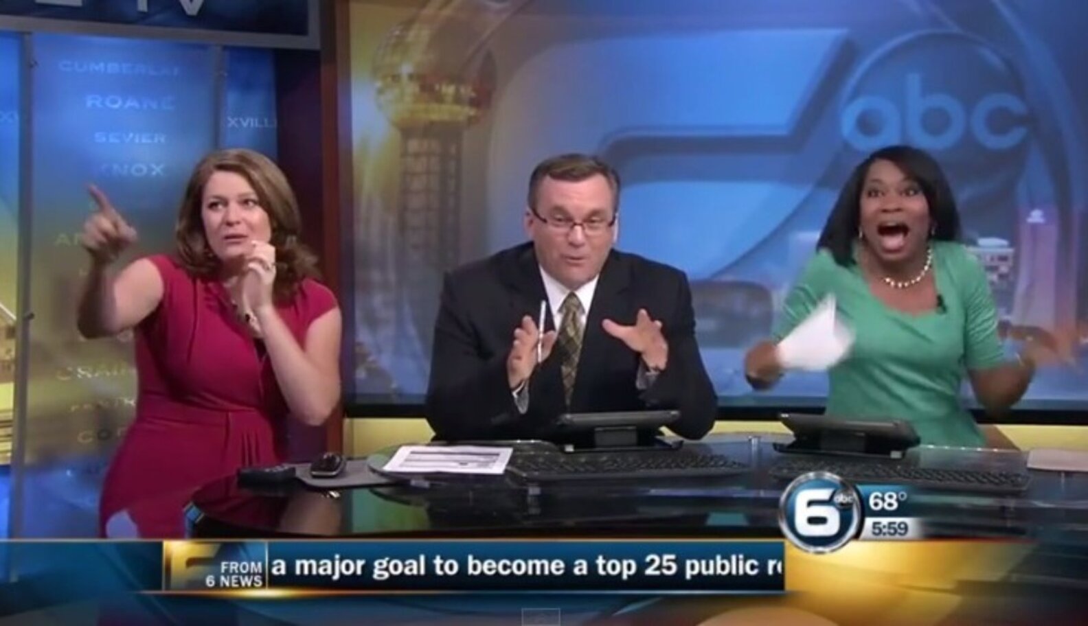 Bat Causes Sheer Pandemonium During Local TV Newscast - The Dodo