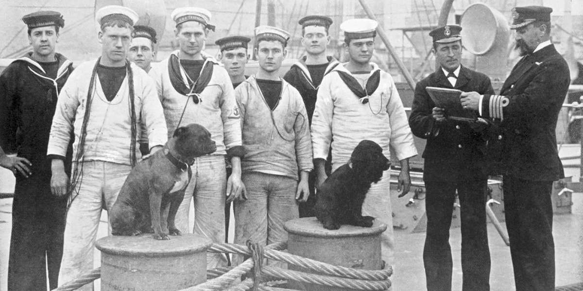 Ahoy, Puppy! A Visual History Of Animals At Sea - The Dodo