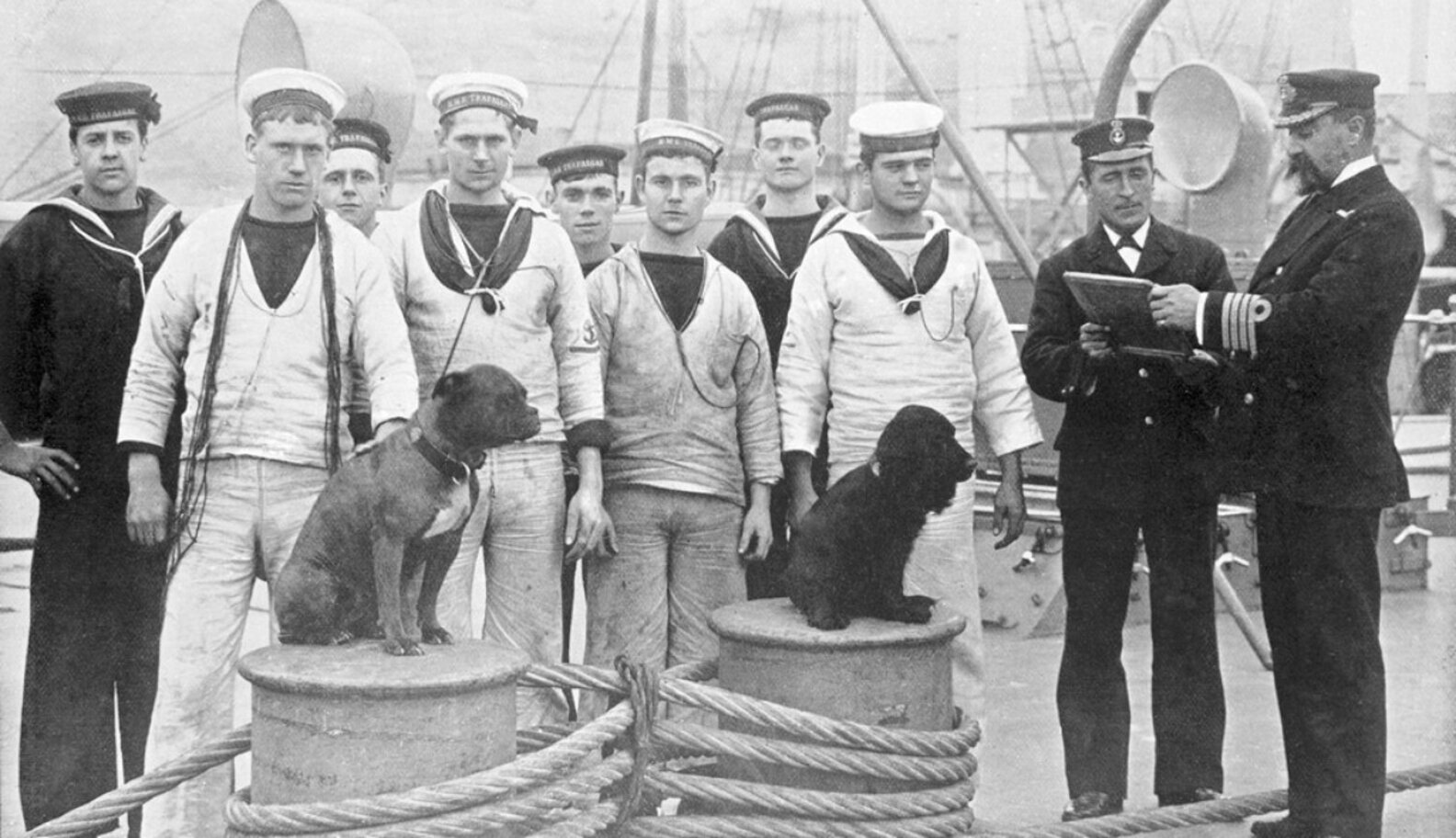 Ahoy, Puppy! A Visual History Of Animals At Sea - The Dodo