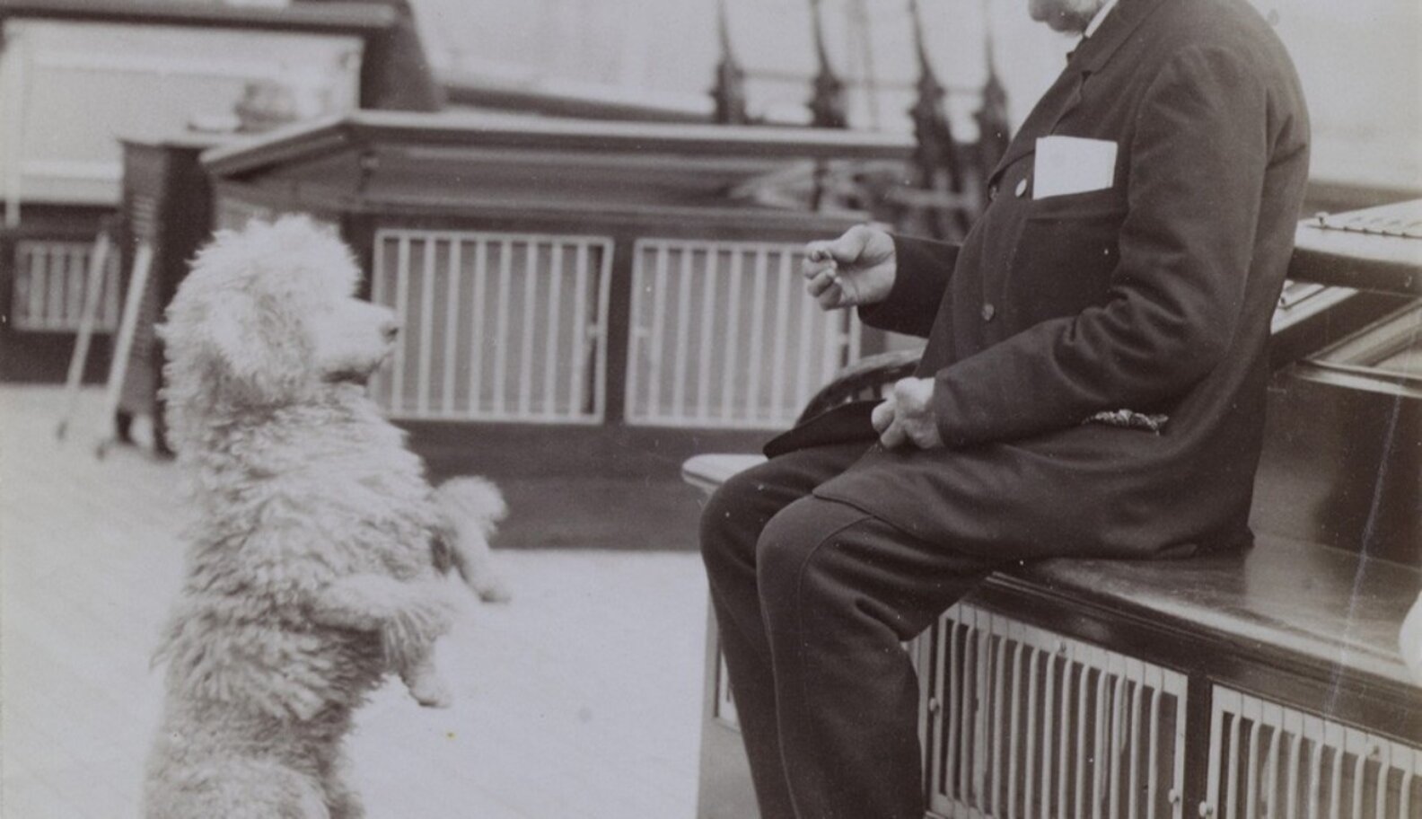 Ahoy, Puppy! A Visual History Of Animals At Sea - The Dodo