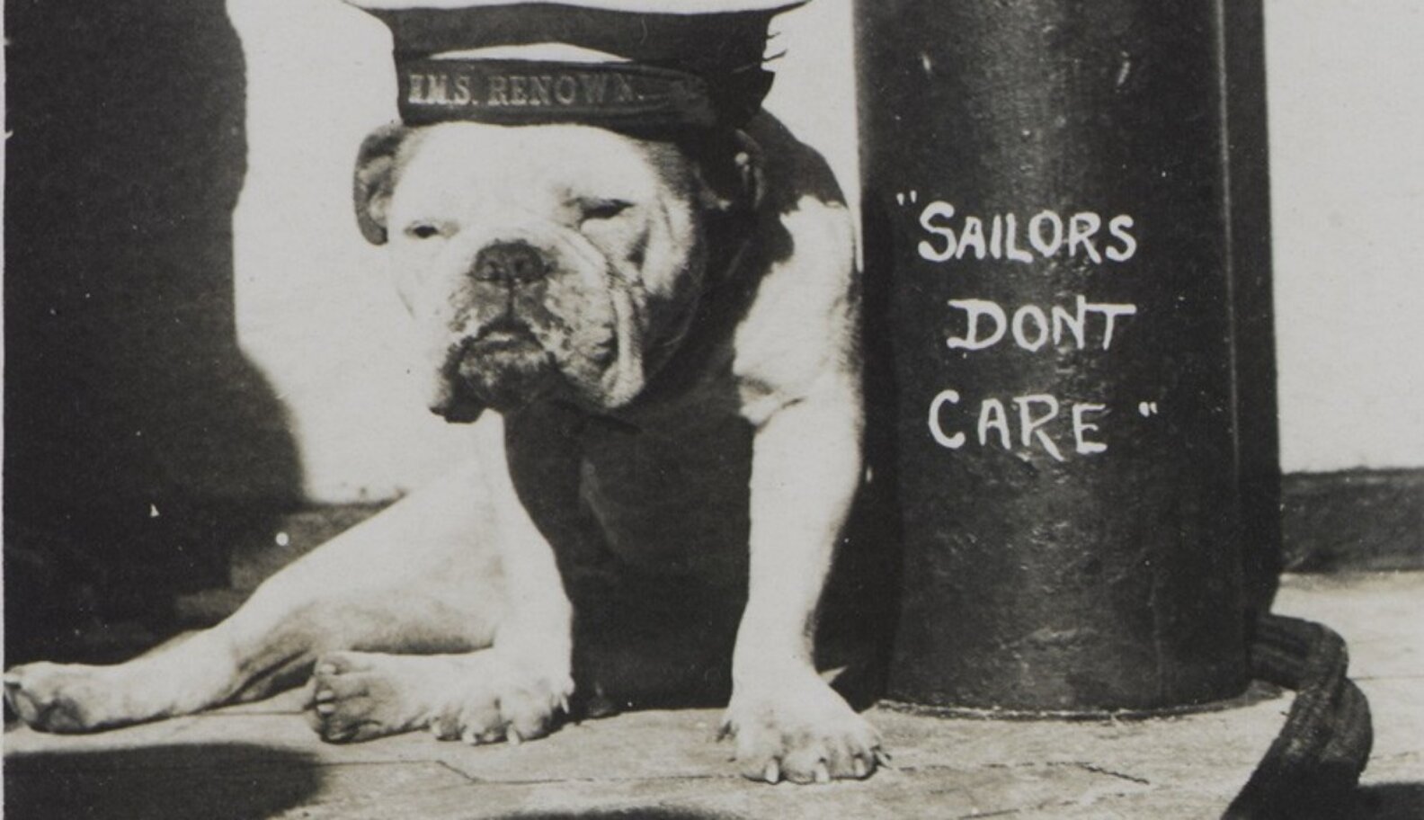 Ahoy, Puppy! A Visual History Of Animals At Sea - The Dodo