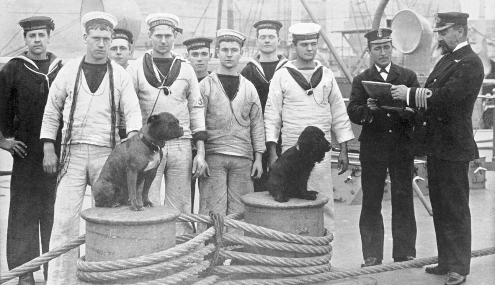 Ahoy, Puppy! A Visual History Of Animals At Sea - The Dodo