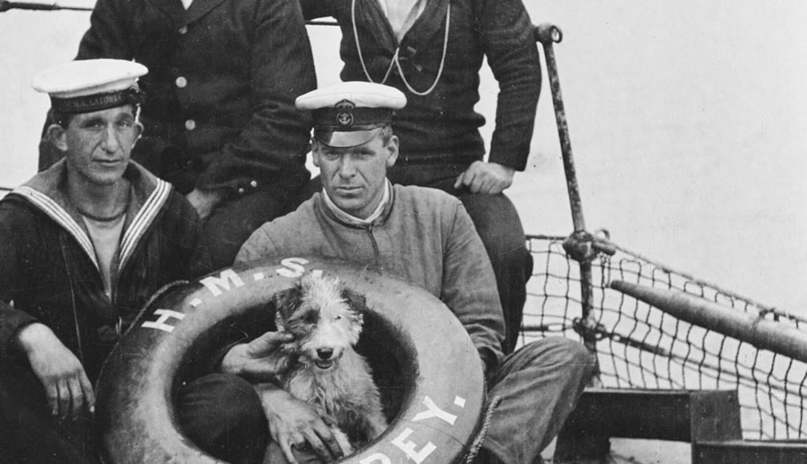 Ahoy, Puppy! A Visual History Of Animals At Sea - The Dodo