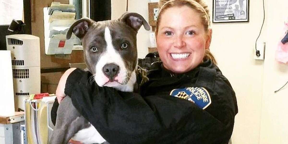Cop Finds Dog In Abandoned House And Decides To Keep Him Forever - The Dodo